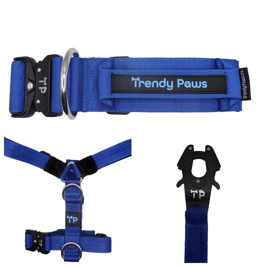 Dog Accessories in Ireland | Trendy Paws