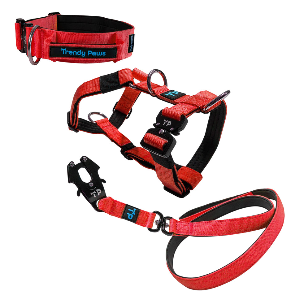 Dog Accessories in Ireland | Trendy Paws